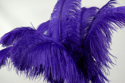Craft Supplies - Feather Goods - Ostrich Feather Plumes - CB Flowers ...