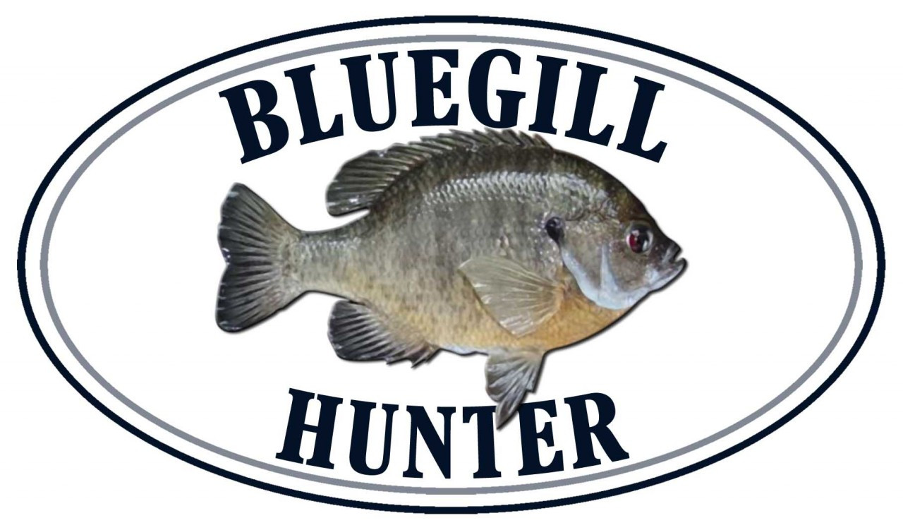 Bluegill Hunter Fish Sticker