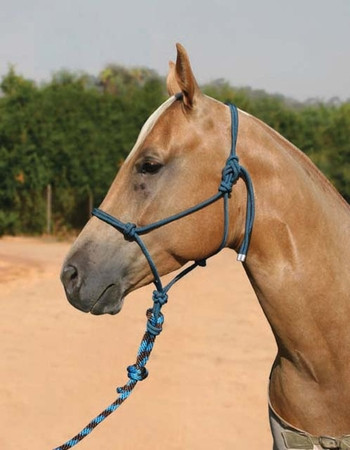 Pro Choice Rope Halter 10 ft Lead- Horse Halter & Leads