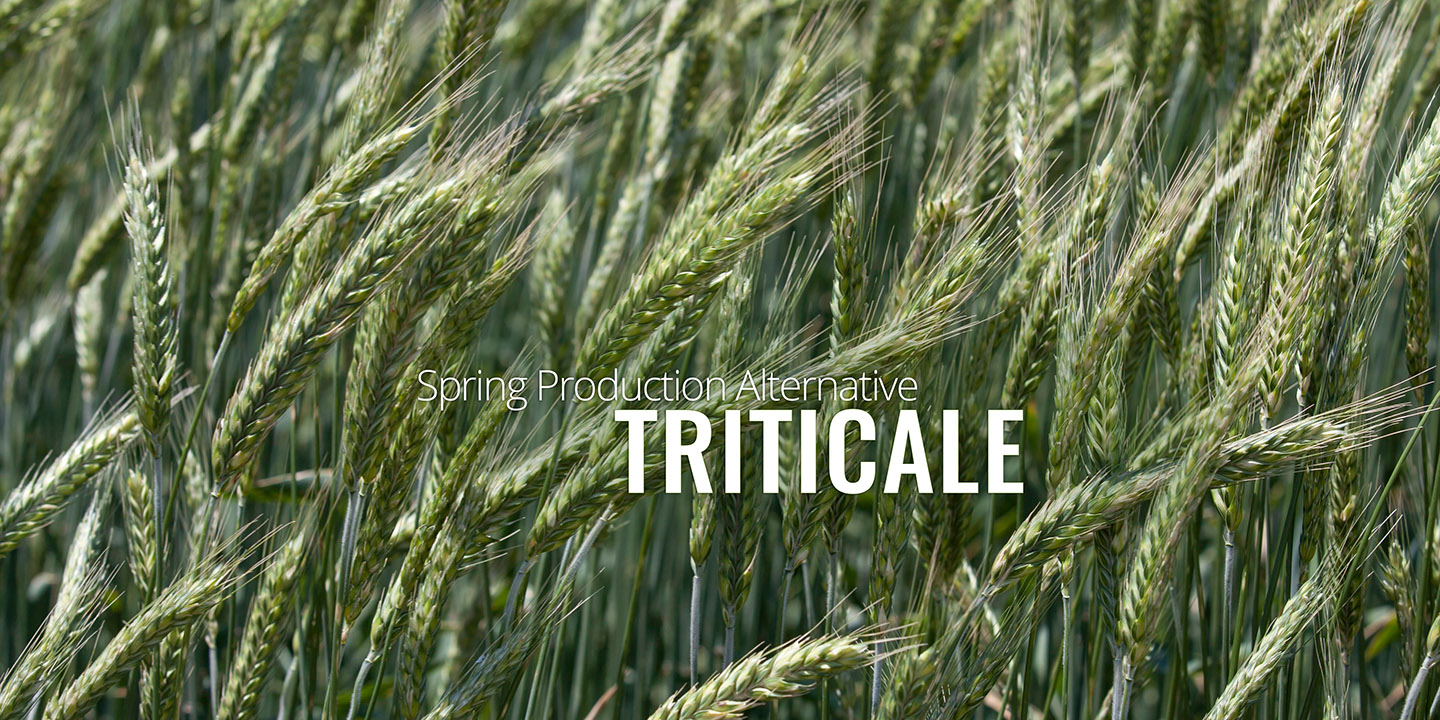 Sharp Bros. Seed Co.