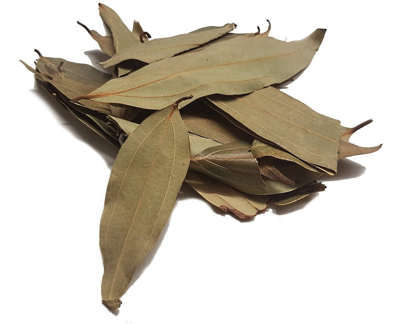 Malabathrum Leaves | Spices on the Web