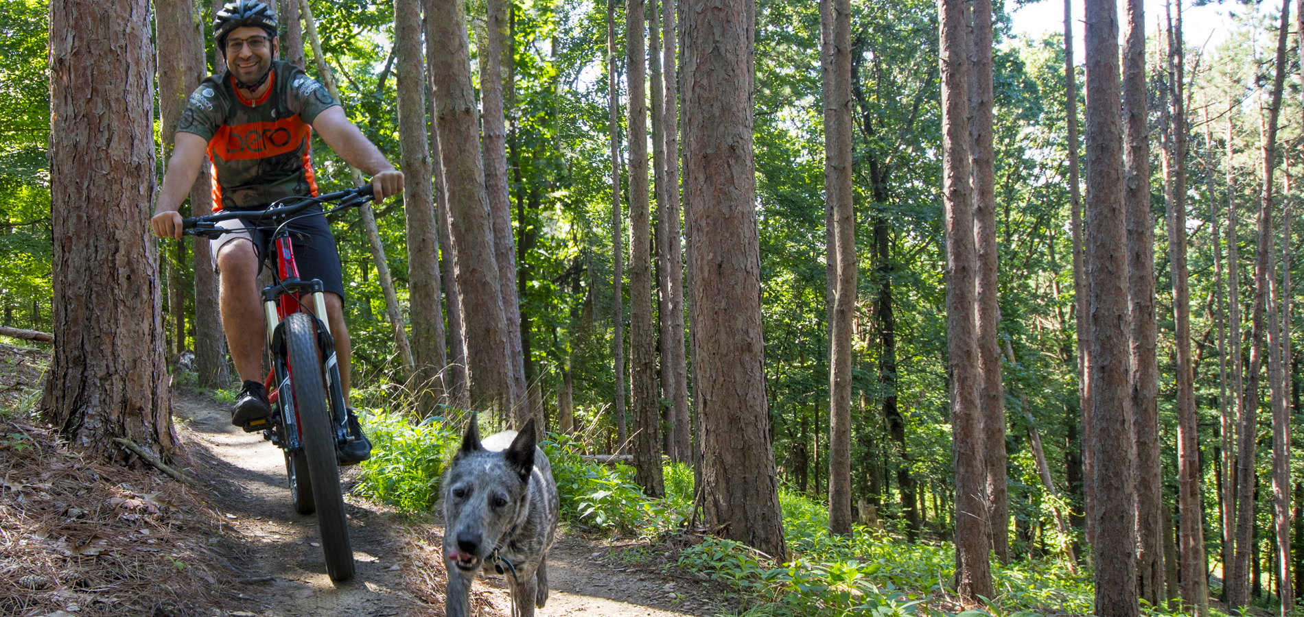 Cycling Apparel, Bike Shorts, Bike Jerseys by Aero Tech Designs