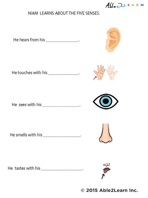Niam Learns About The Five Senses Vocabulary Building Pages 4 niam-learns-about-the-five-senses-vocabulary-building-pages-4
