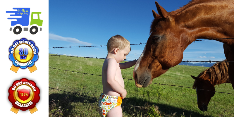 EcoAble Baby Cloth Diapers - All-In-One, Covers, Hybrid, Potty Training ...