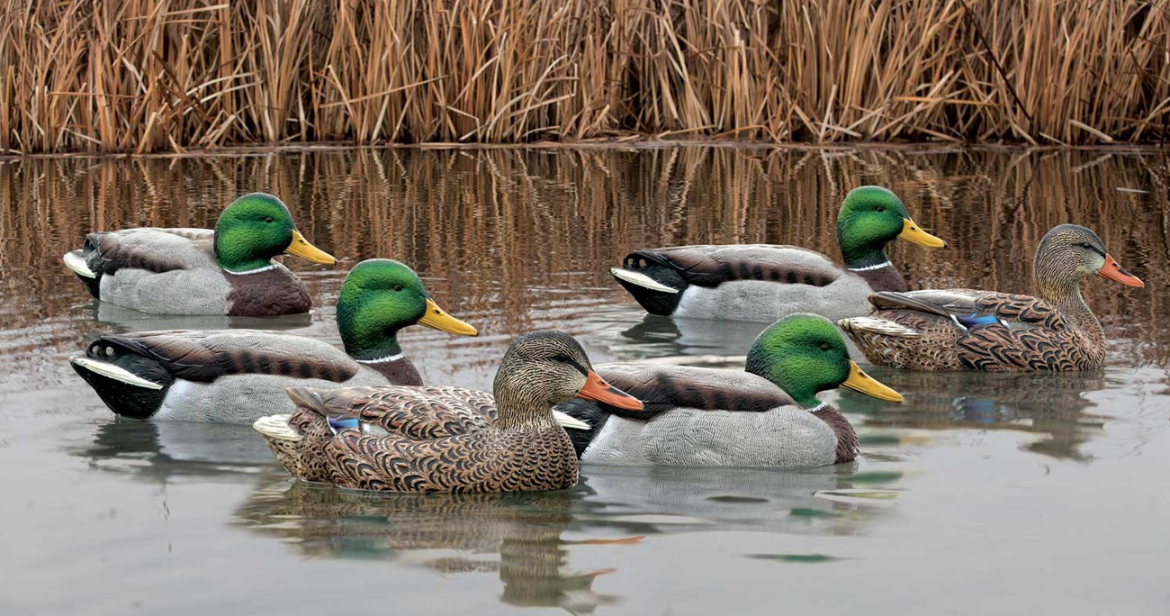 Welcome to DNW Outdoors