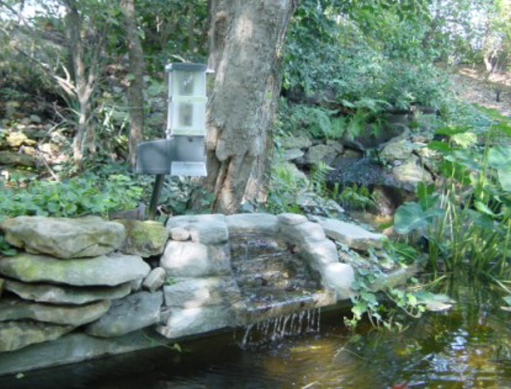 Why use a Super Feeder? - Super-Feed Enterprise